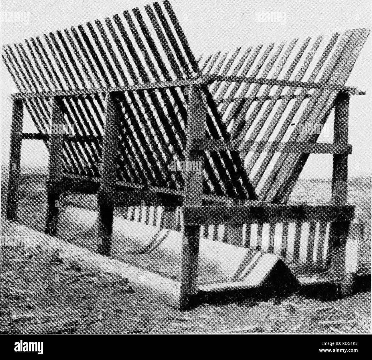 . Alfalfa farming in America. Alfalfa. "â¢â '....â .rffr-^ ^^Â«:fe ...