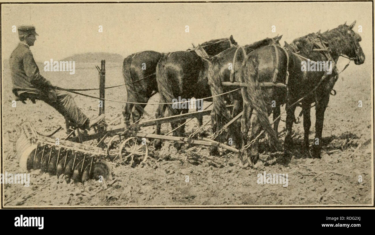 Pan acme hi-res stock photography and images - Alamy