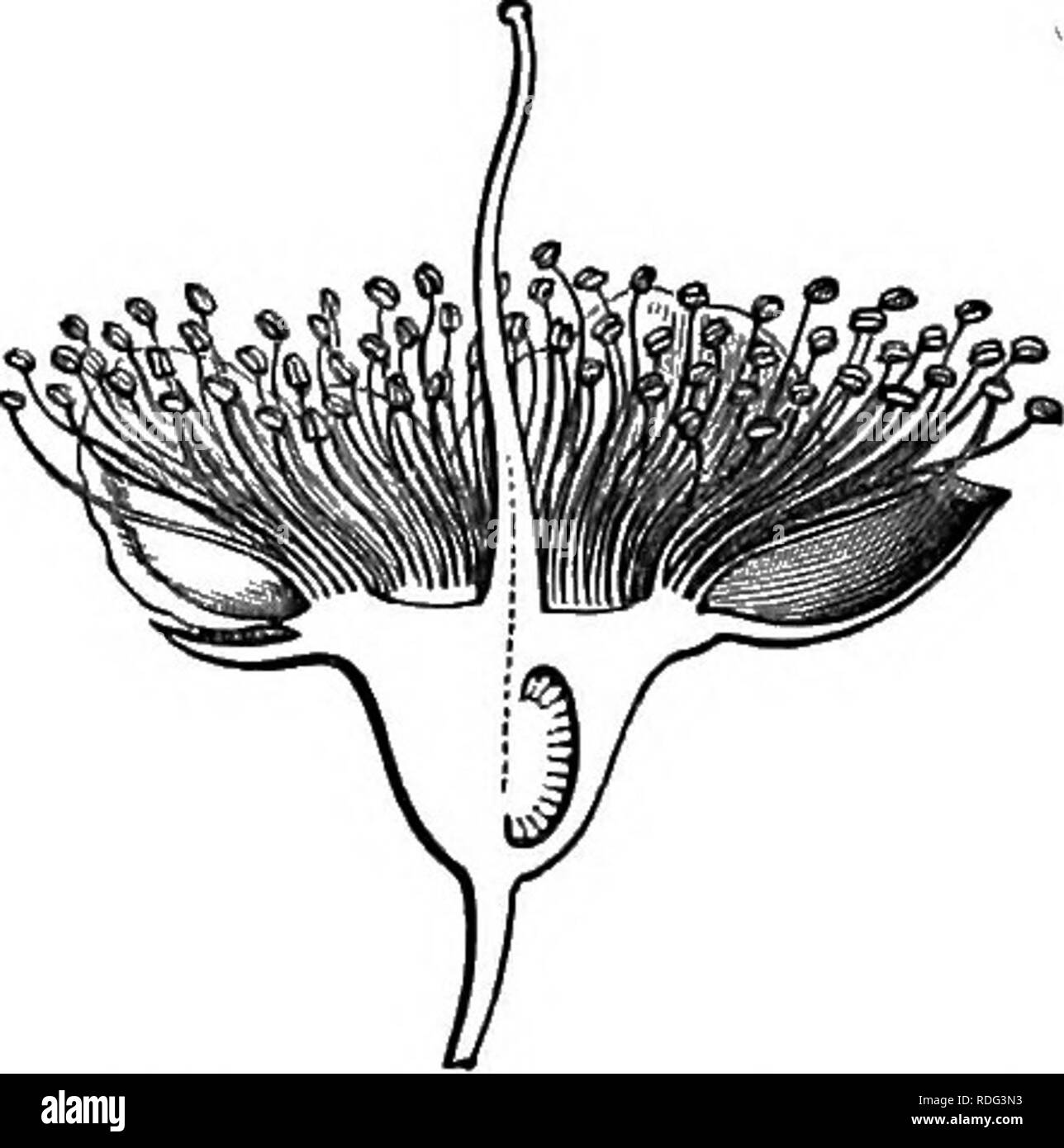 Bn 363 hi-res stock photography and images - Alamy