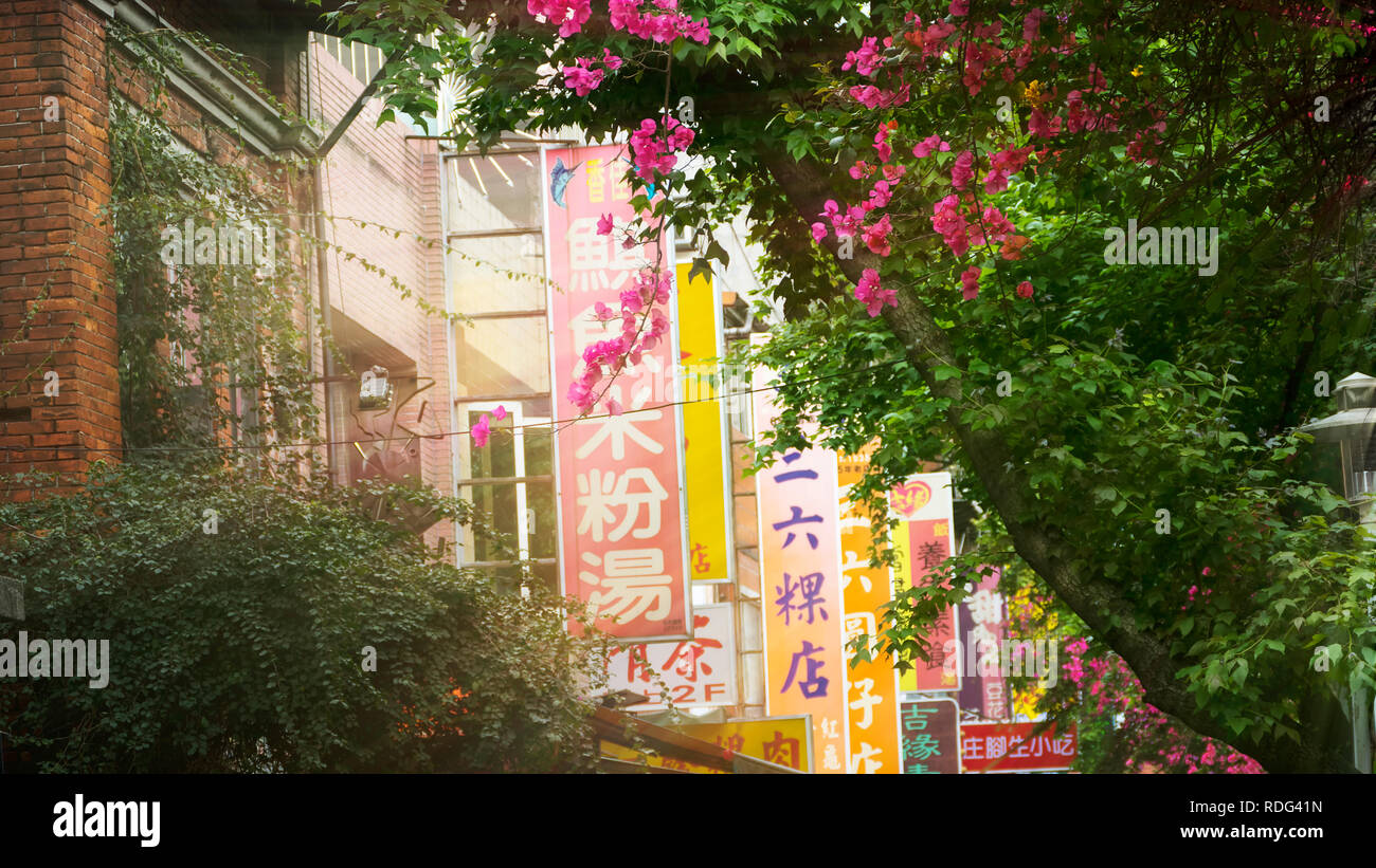 Taipei, Taiwan - Apr, 21 2017: Monga, this name Wanhua, the birthplace ...