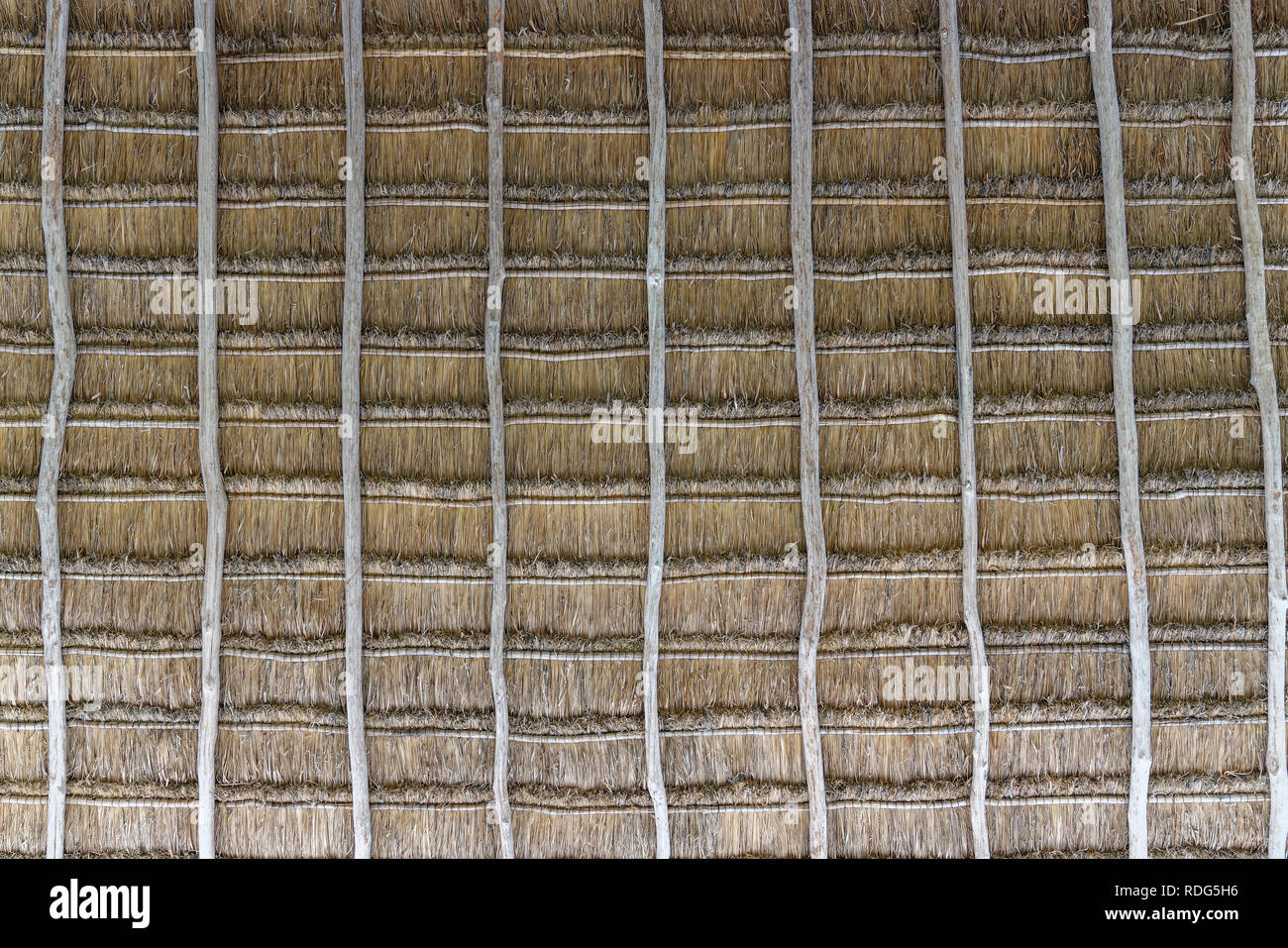 Thached roof hi-res stock photography and images - Alamy