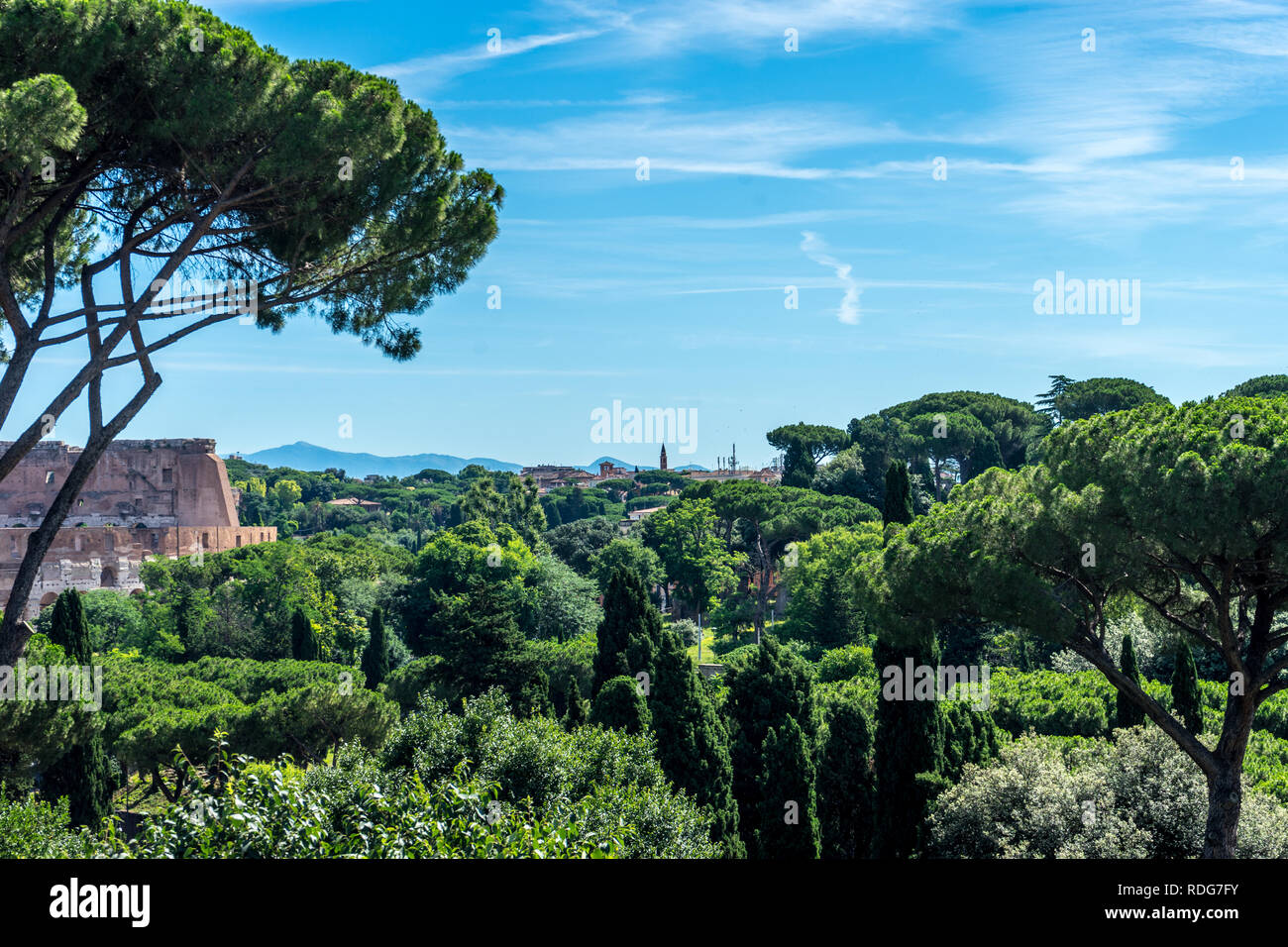 Rome forest hi-res stock photography and images - Alamy