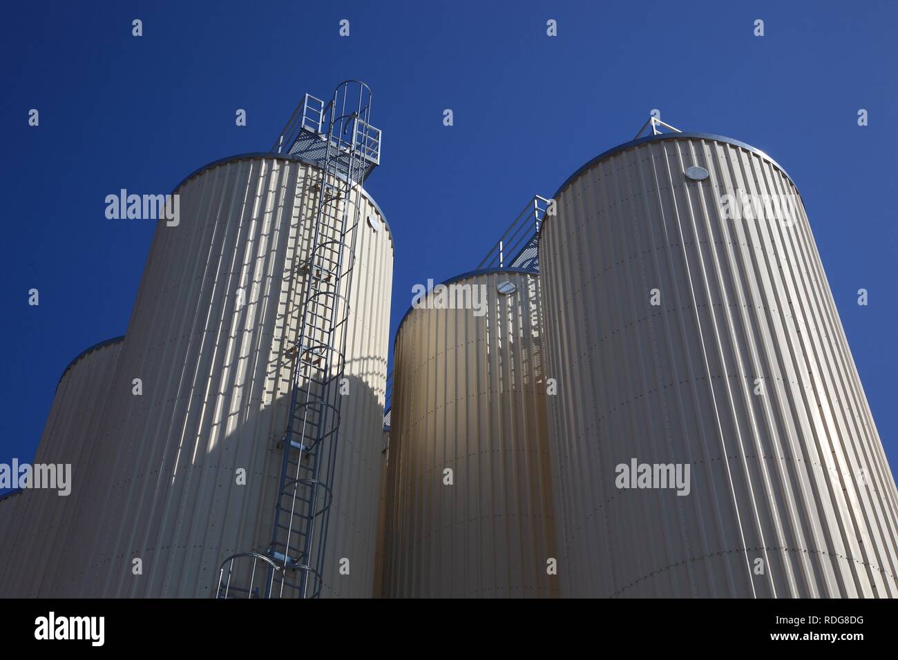 Beer storage tanks of a brewery Stock Photo - Alamy