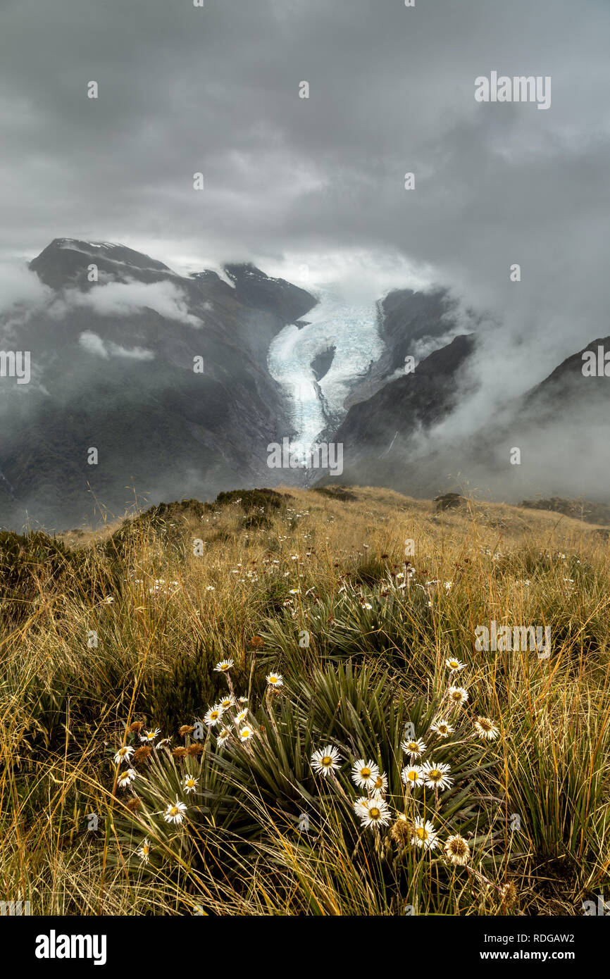 Alex knob new zealand hi-res stock photography and images - Alamy