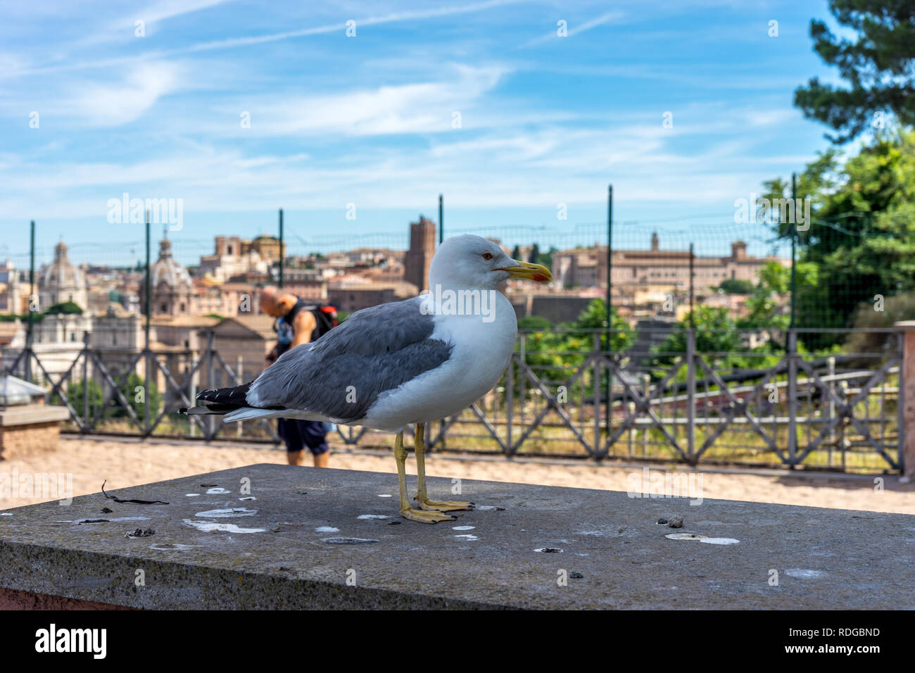 Europe water roman nature hi-res stock photography and images - Alamy