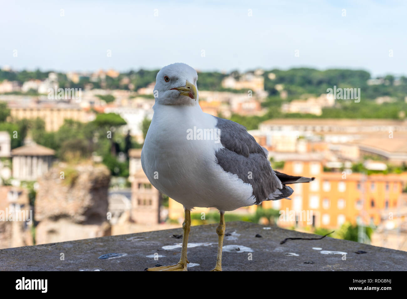 Europe water roman nature hi-res stock photography and images - Alamy