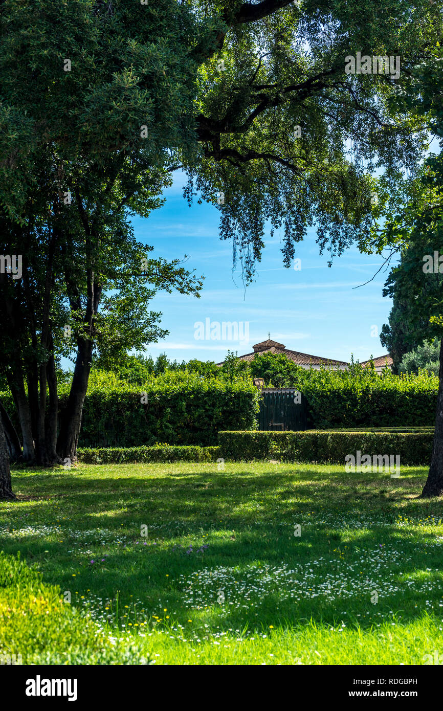 Italy, Rome, Roman Forum, trees on green grass Stock Photo - Alamy