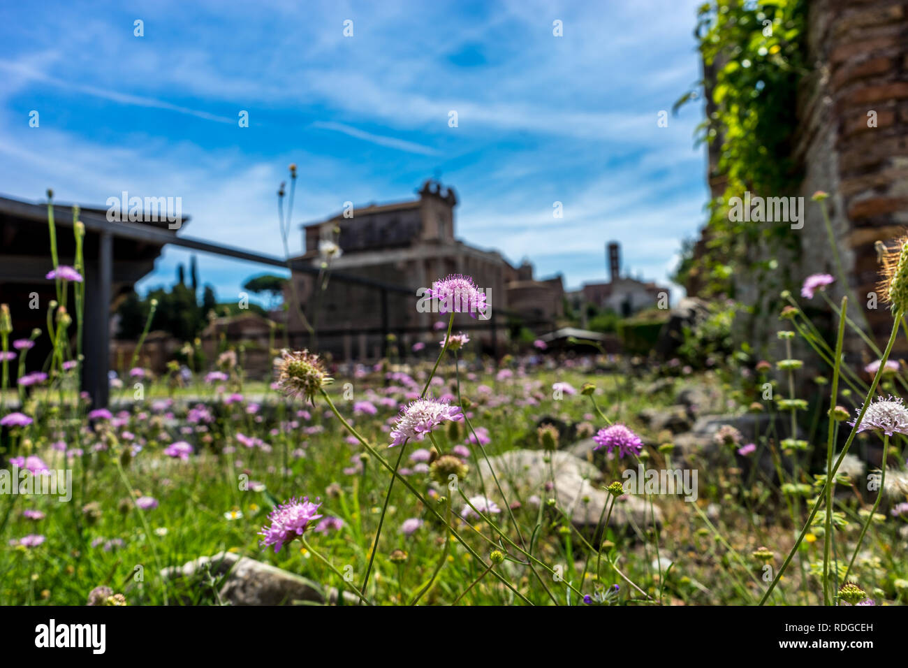 Roman garden structure hi-res stock photography and images - Alamy