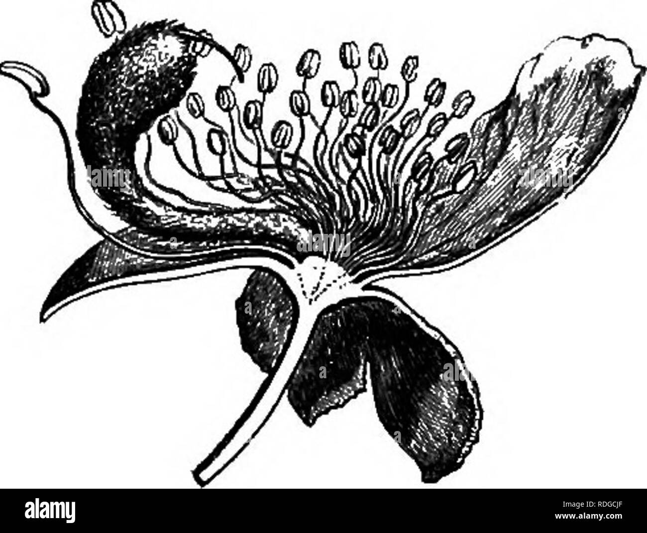 Number 203 Cut Out Stock Images & Pictures - Alamy
