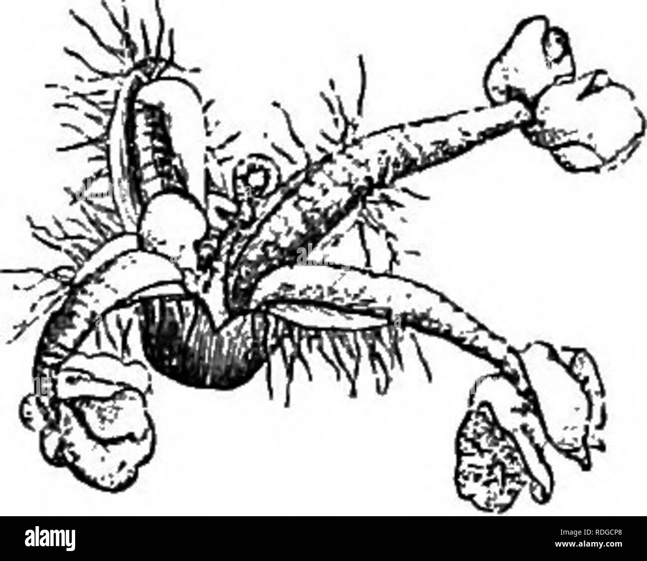 . The natural history of plants. Botany. . Please note that these ...
