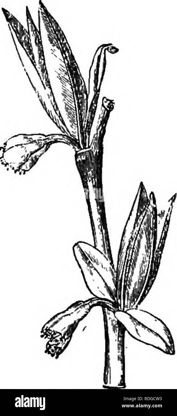 Disk tetra hi-res stock photography and images - Alamy