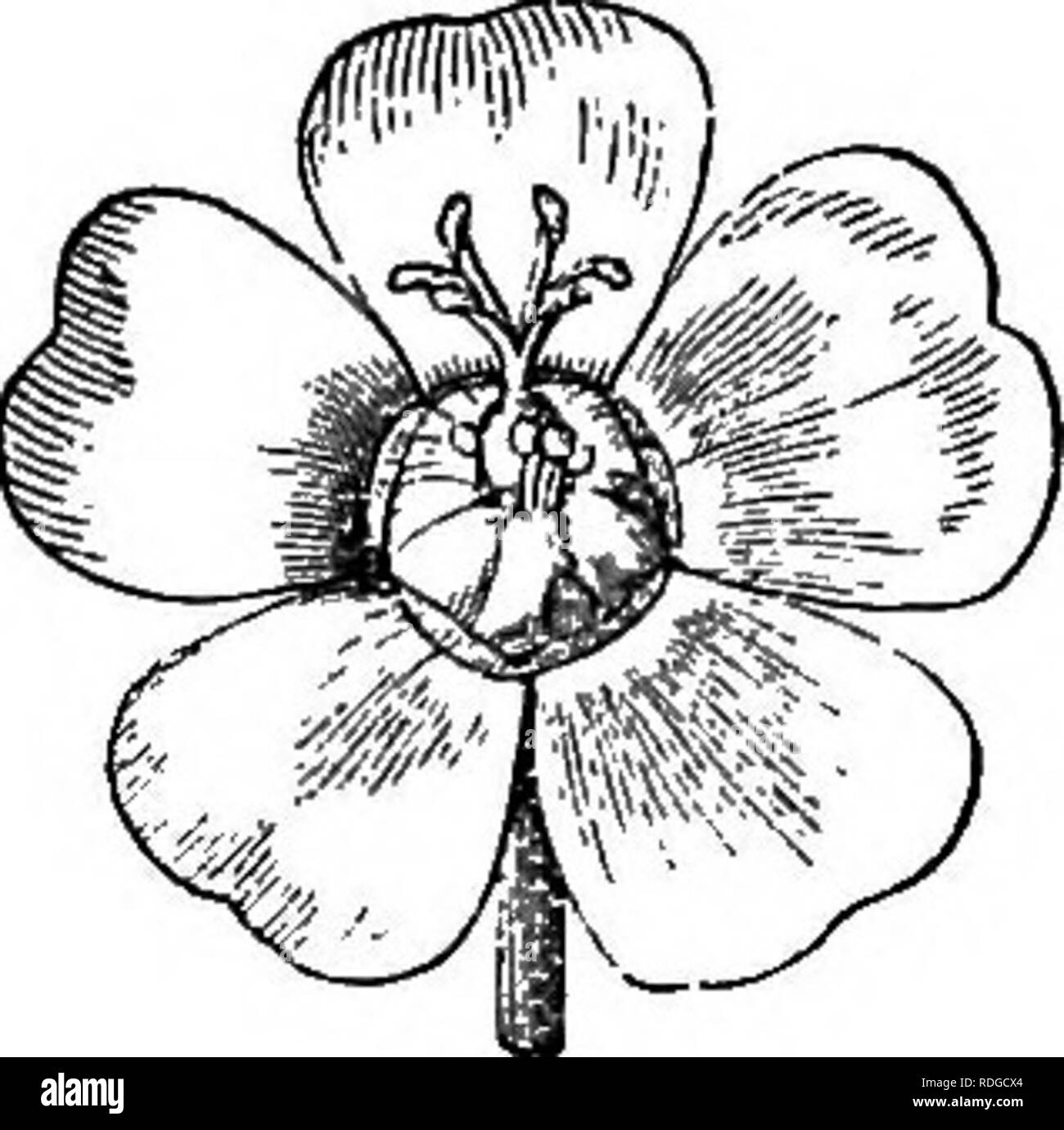 Three centa hi-res stock photography and images - Alamy