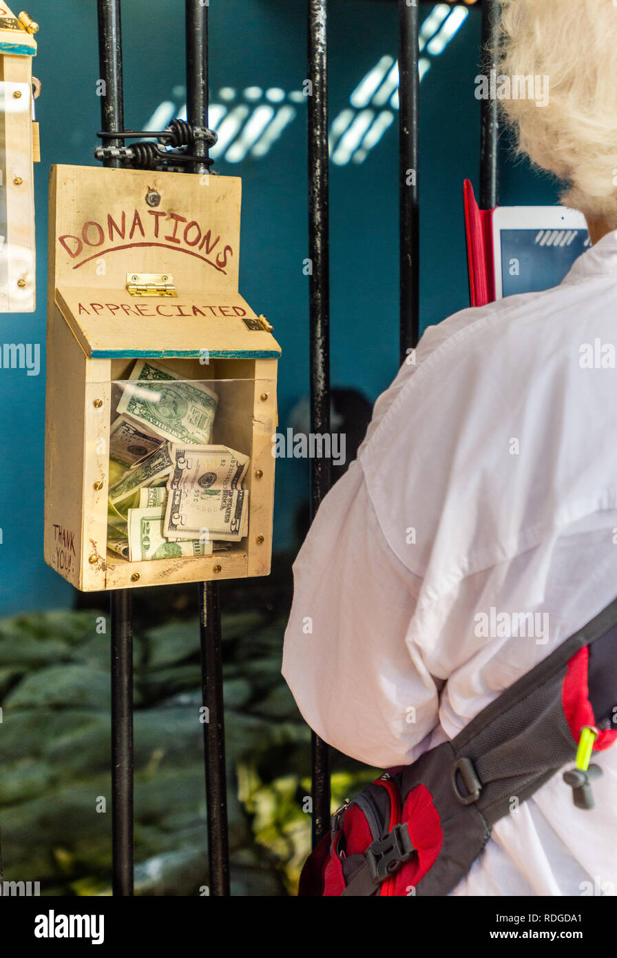 Juneau, Alaska: A female tourist using tablet device photographs Lady ...