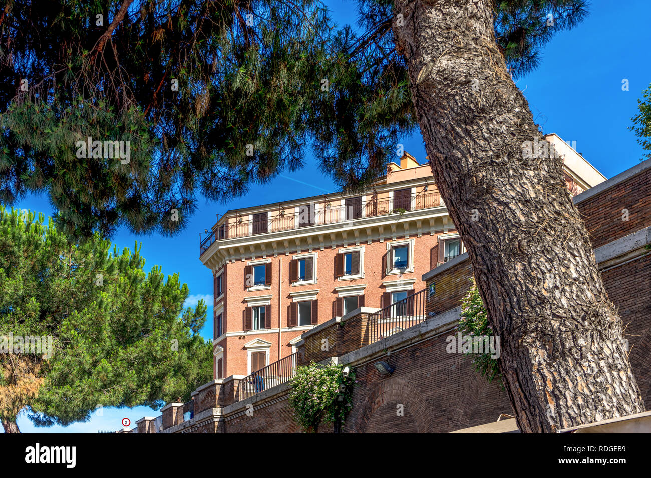 Europe, Italy, Rome, Roman Forum, a tree in front of a tall building ...