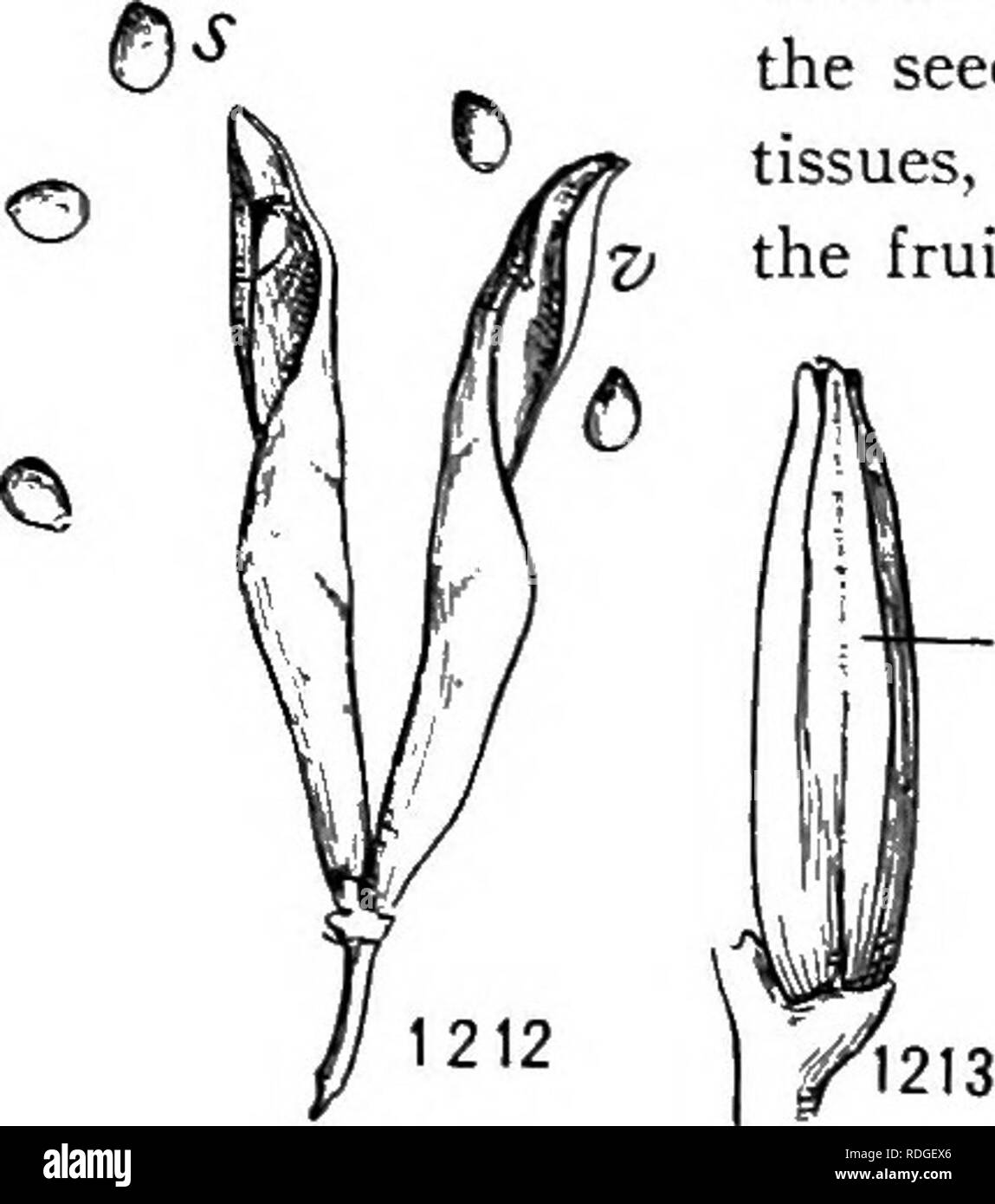 920 meters hi-res stock photography and images - Alamy