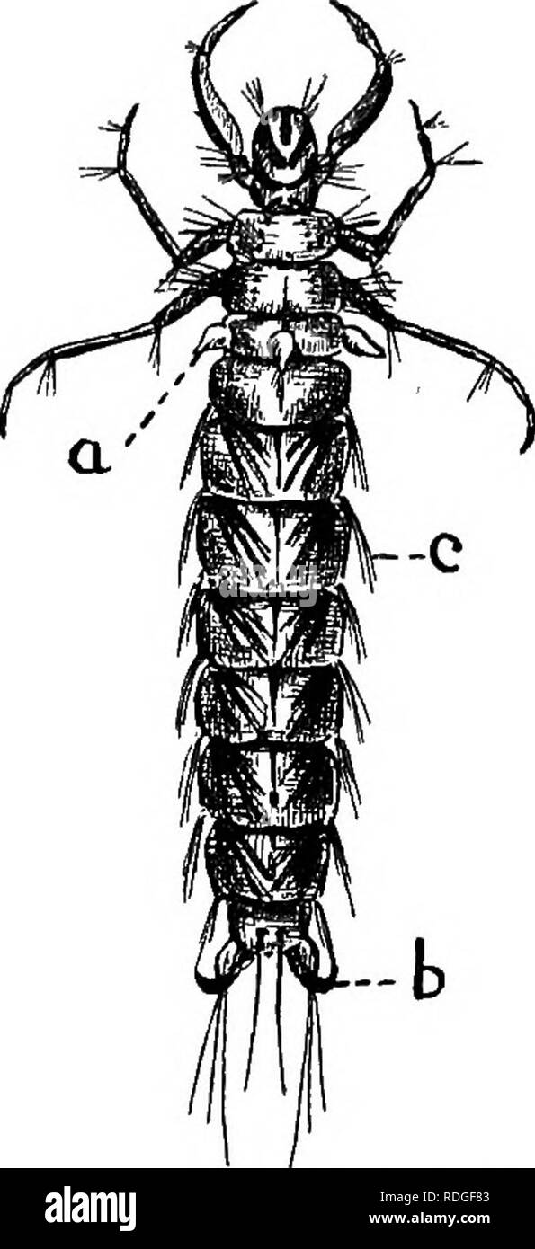 Object 241 Black and White Stock Photos & Images - Alamy