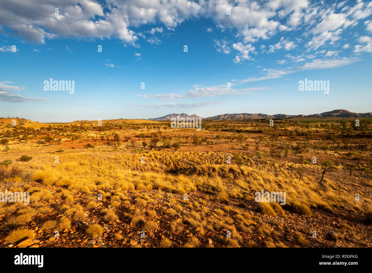 Typical scenery of the MacDonnell Ranges Stock Photo - Alamy