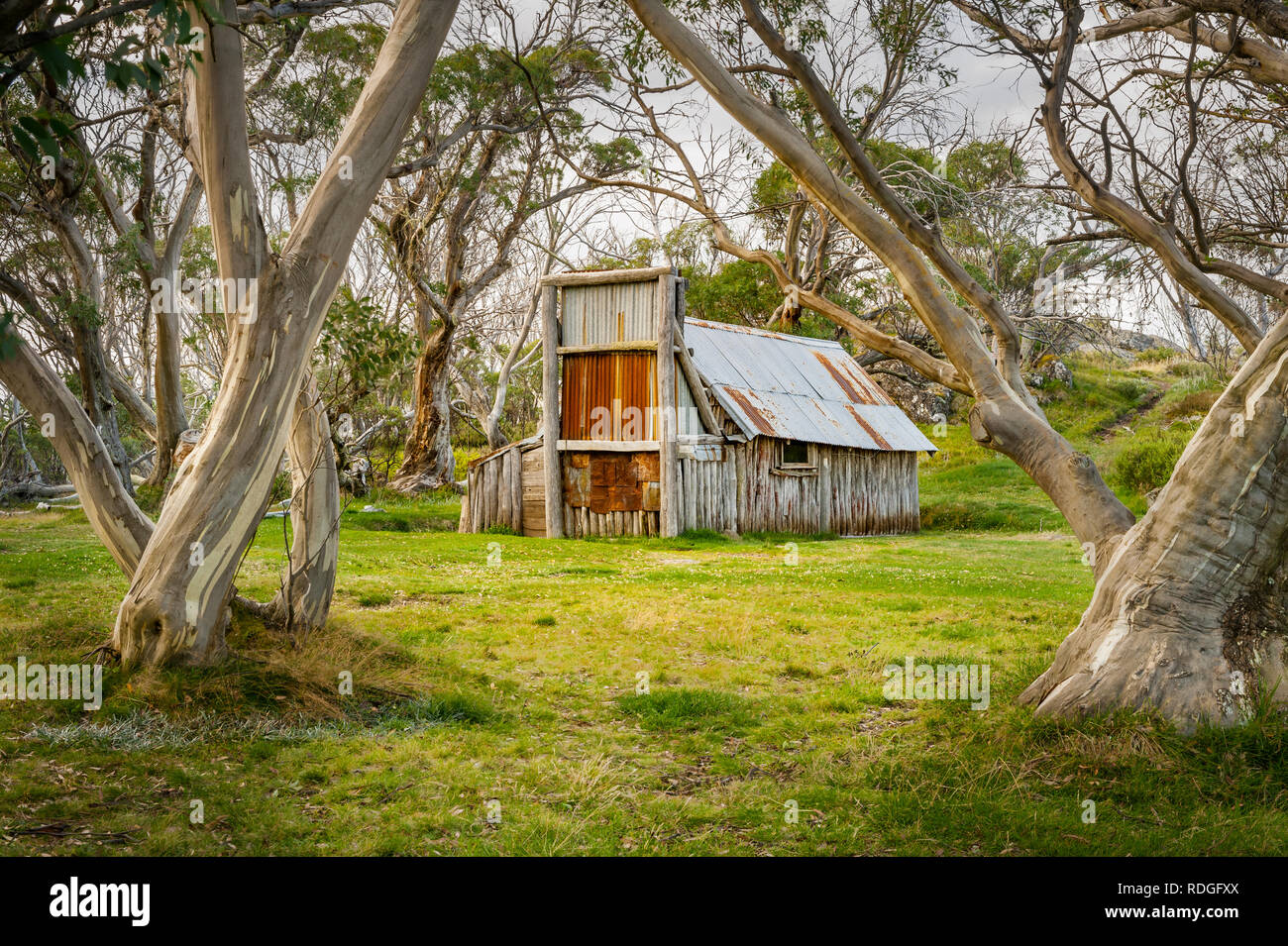 Historical Wallaces Hut in Victoria's High Country Stock Photo - Alamy