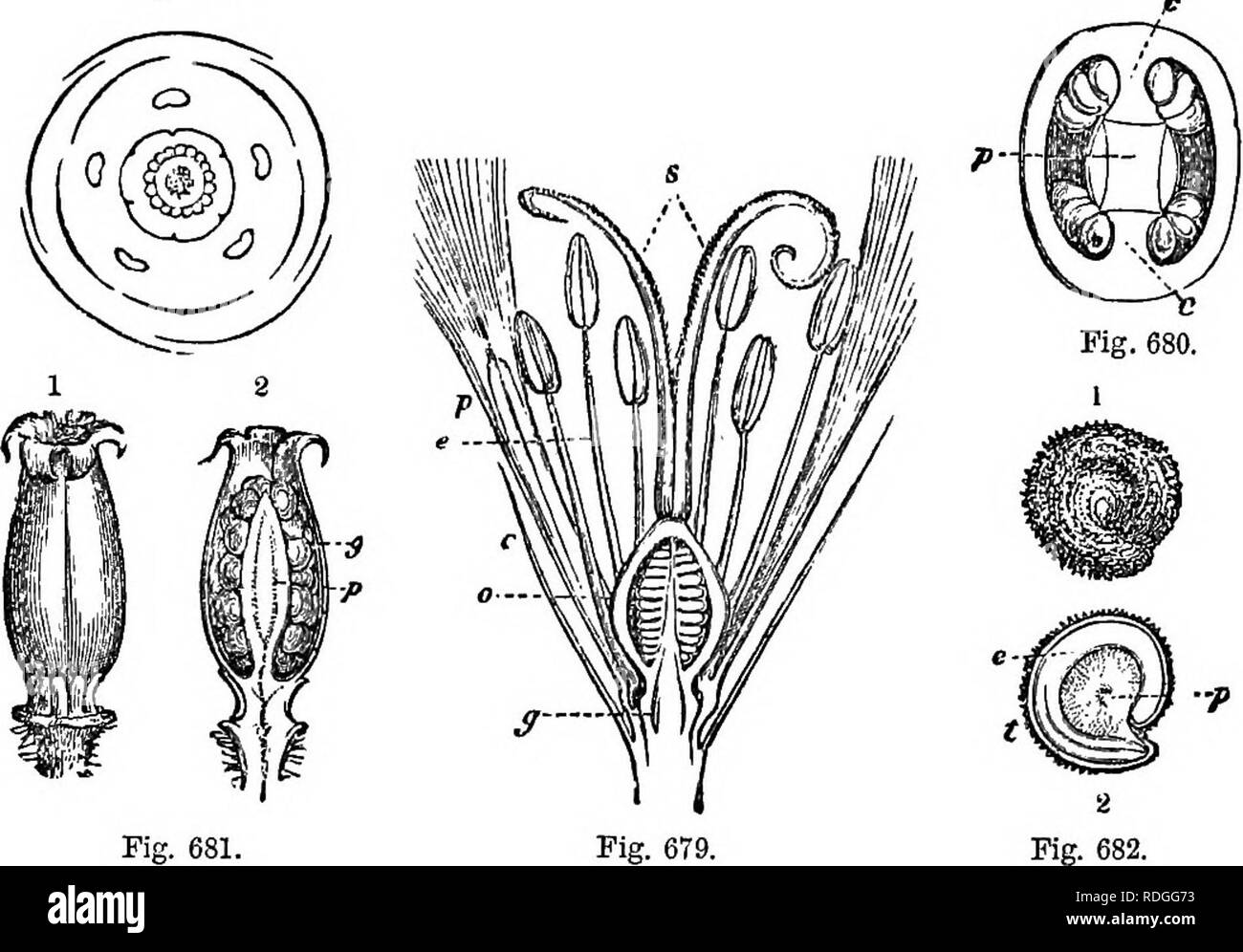 Number 305 Black and White Stock Photos & Images - Alamy