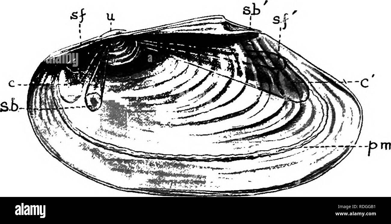 Cardinal directions Black and White Stock Photos & Images - Alamy