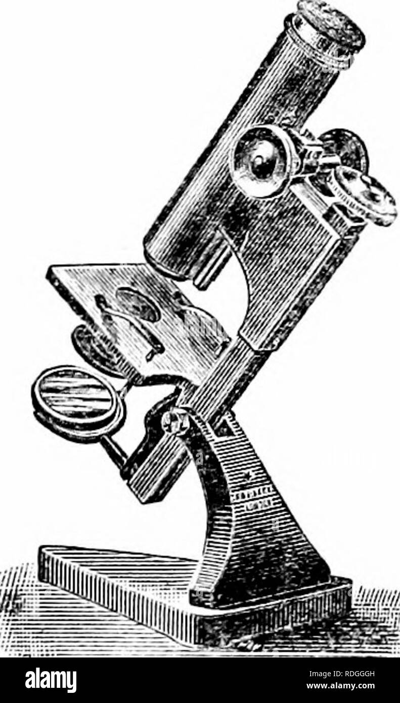 . How to use the microscope; a guide for the novice. Microscopes. THE ...