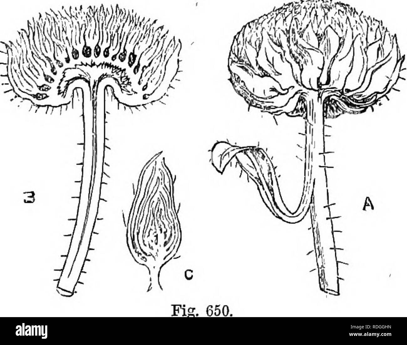 Delineated functions Black and White Stock Photos & Images - Alamy