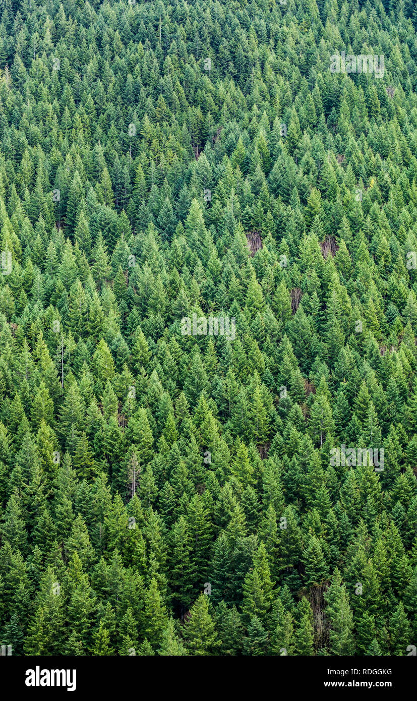 Mount si hi-res stock photography and images - Alamy