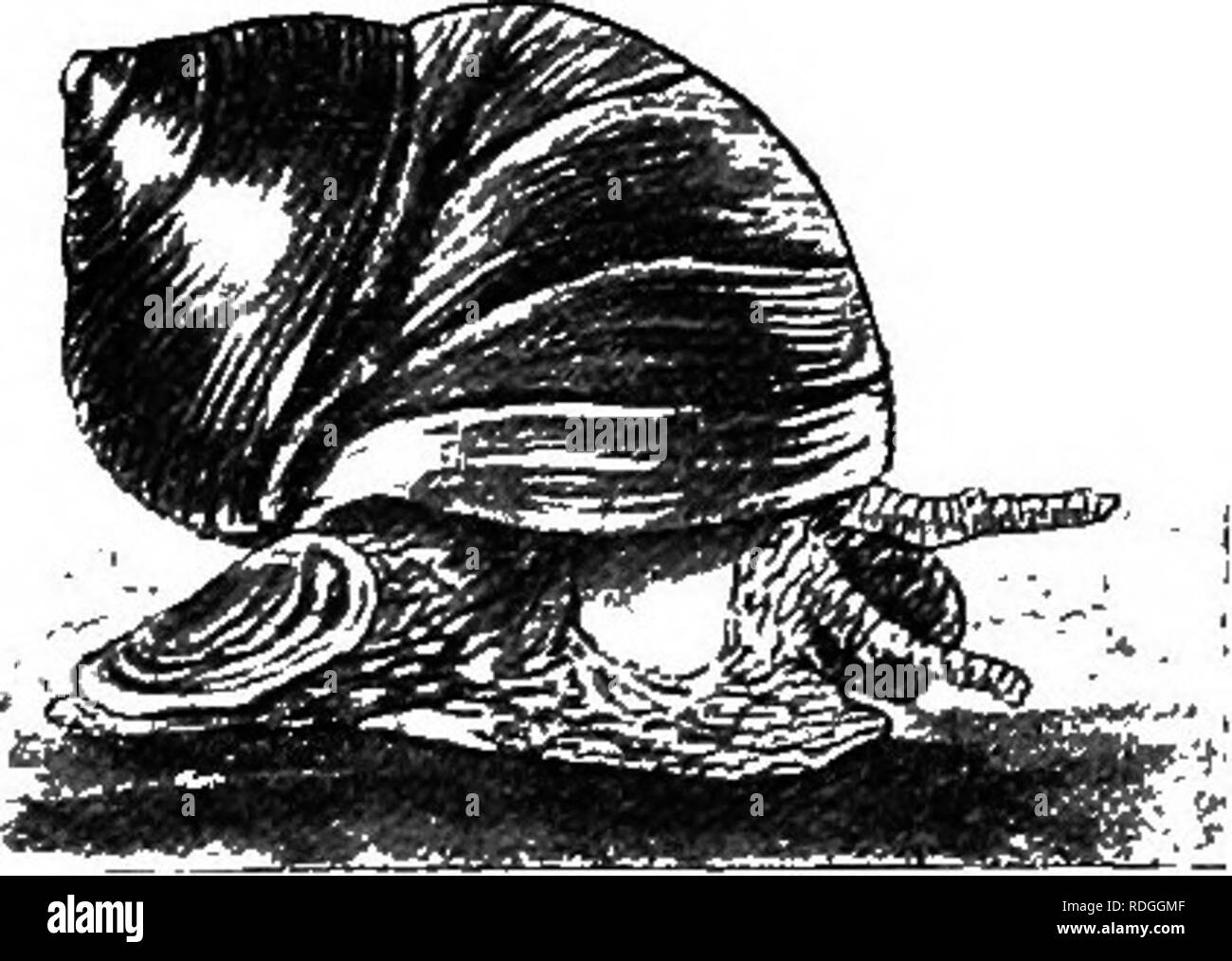 72 inch aperture hi-res stock photography and images - Alamy