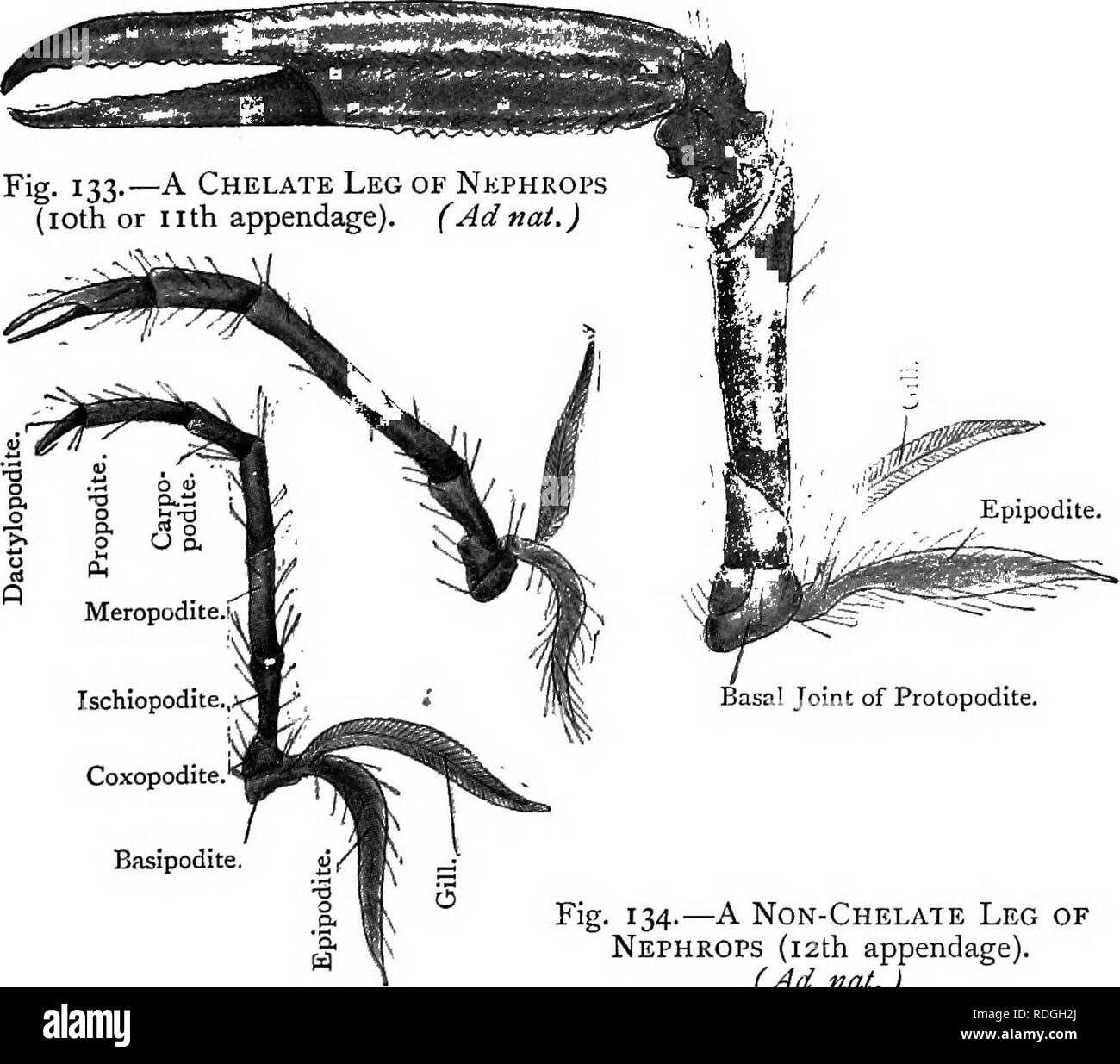 Anti metric hi-res stock photography and images - Alamy