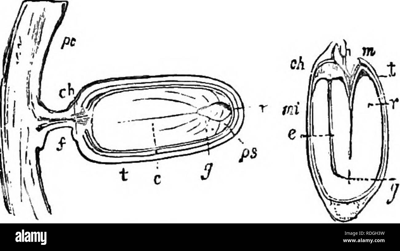 Points classification Black and White Stock Photos & Images - Alamy