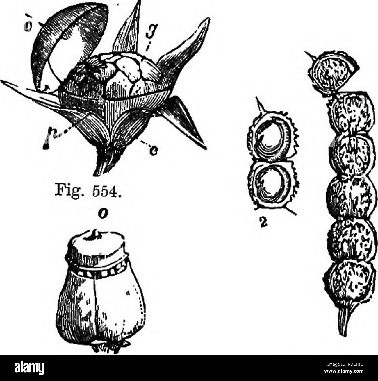 Three Way Valves High Resolution Stock Photography and Images - Alamy