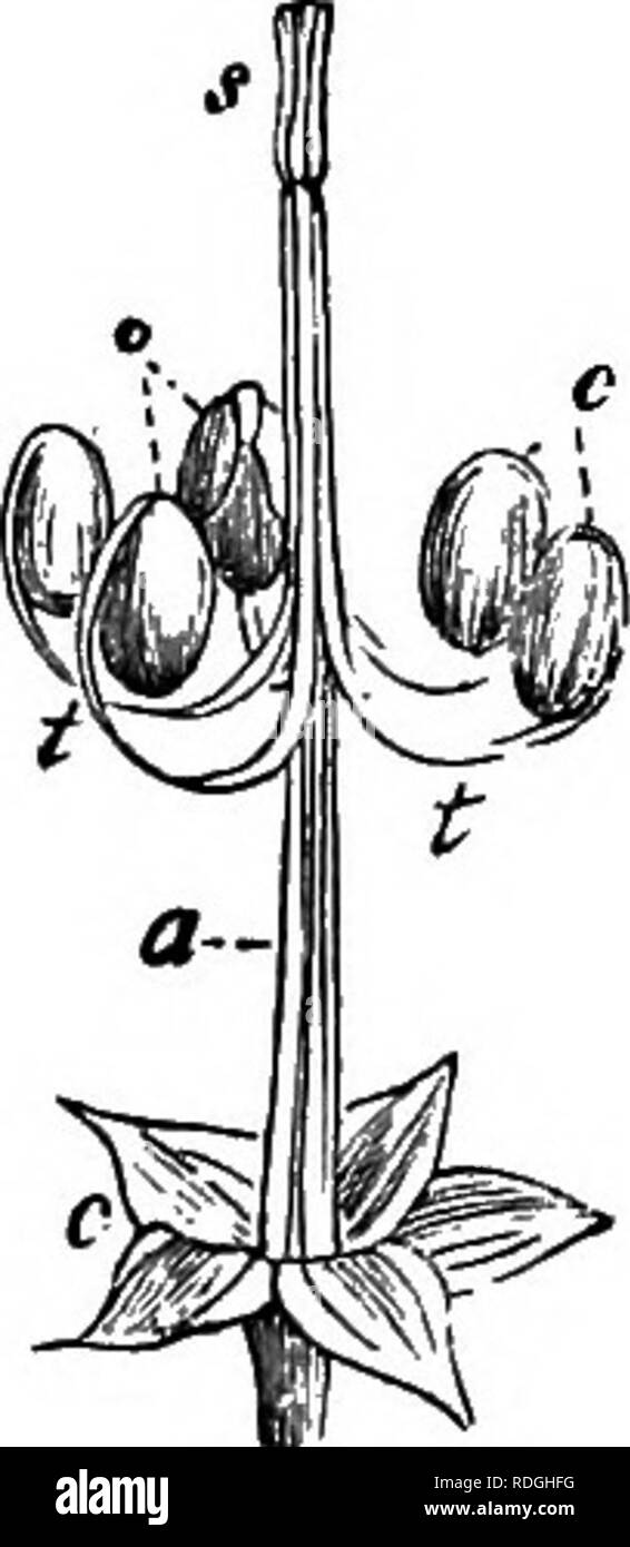 Three Way Valves High Resolution Stock Photography and Images - Alamy