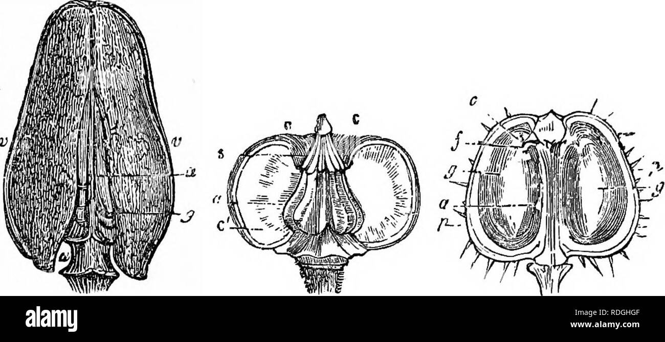 Centre axis Black and White Stock Photos & Images - Alamy