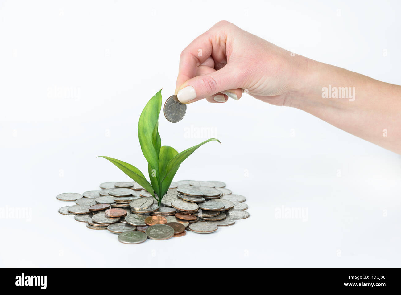 Money sprout hi-res stock photography and images - Alamy