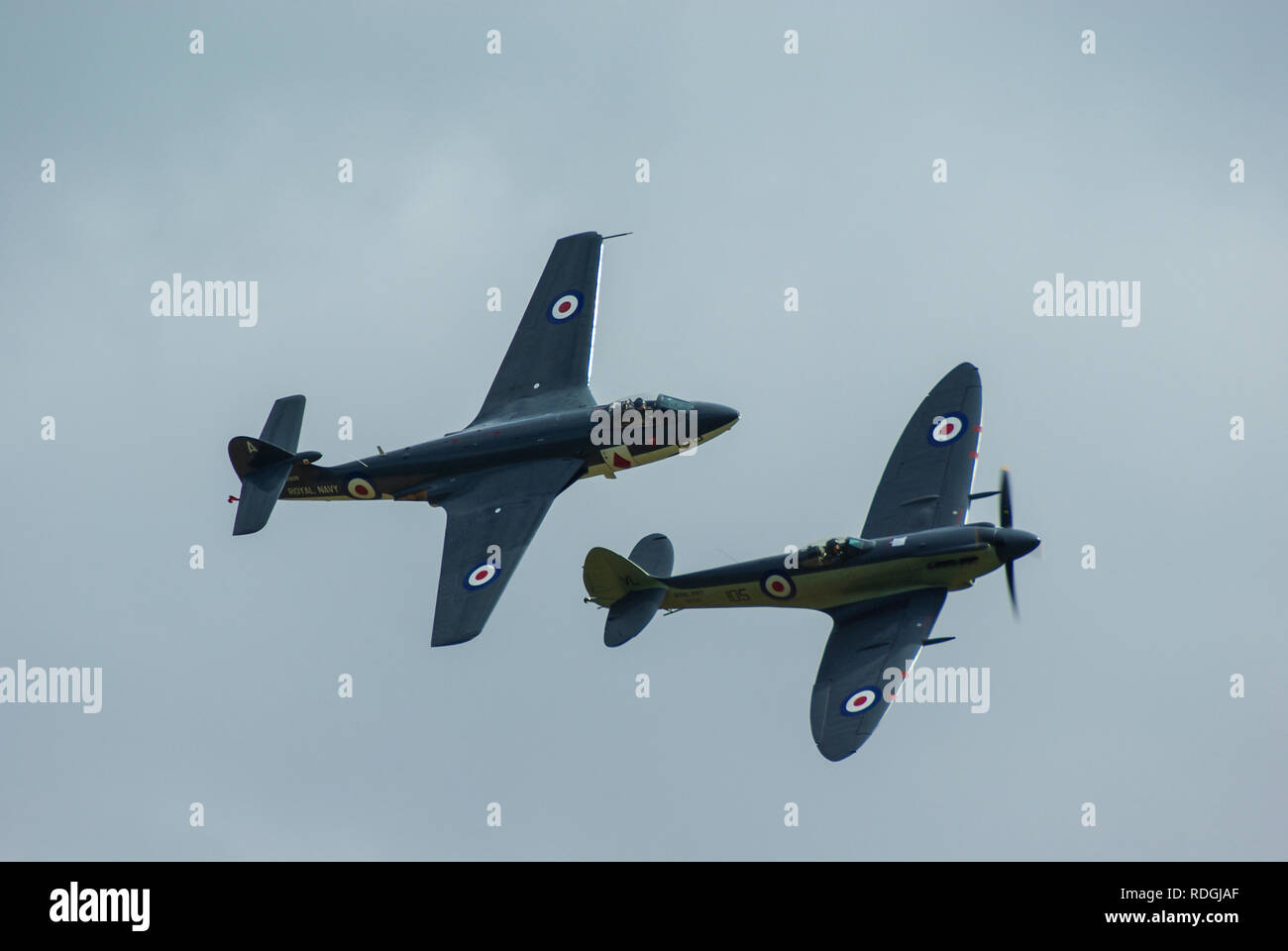 Hawker sea hawk hi-res stock photography and images - Alamy