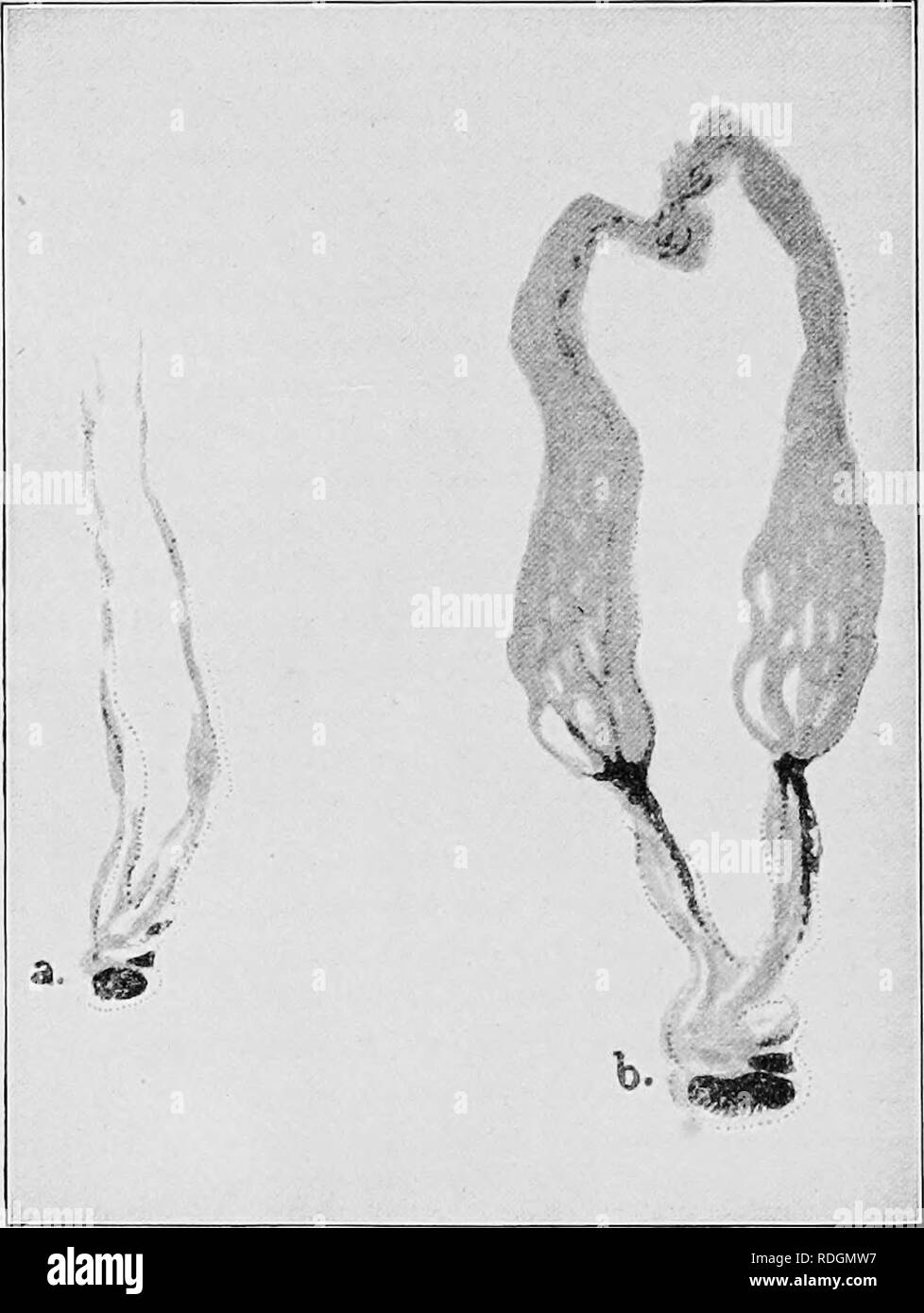 01 33 Black and White Stock Photos & Images - Alamy