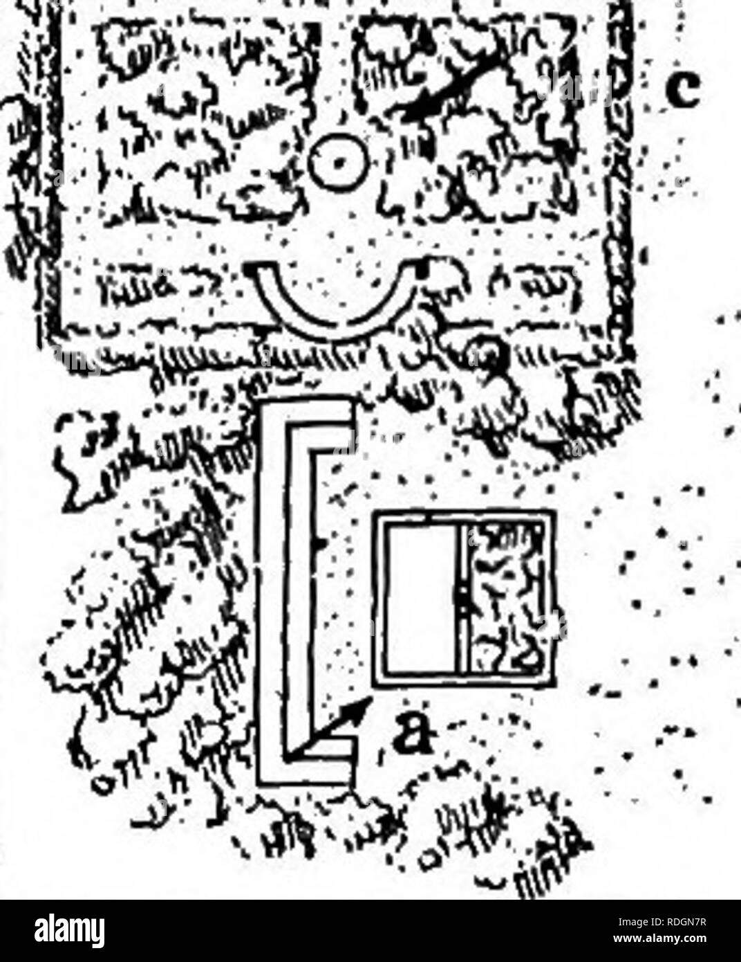 Lily basin Black and White Stock Photos & Images - Alamy