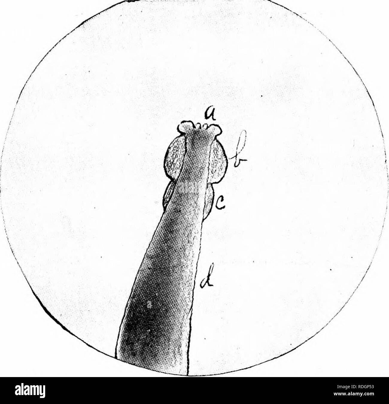 Domestic inflation Black and White Stock Photos & Images - Alamy