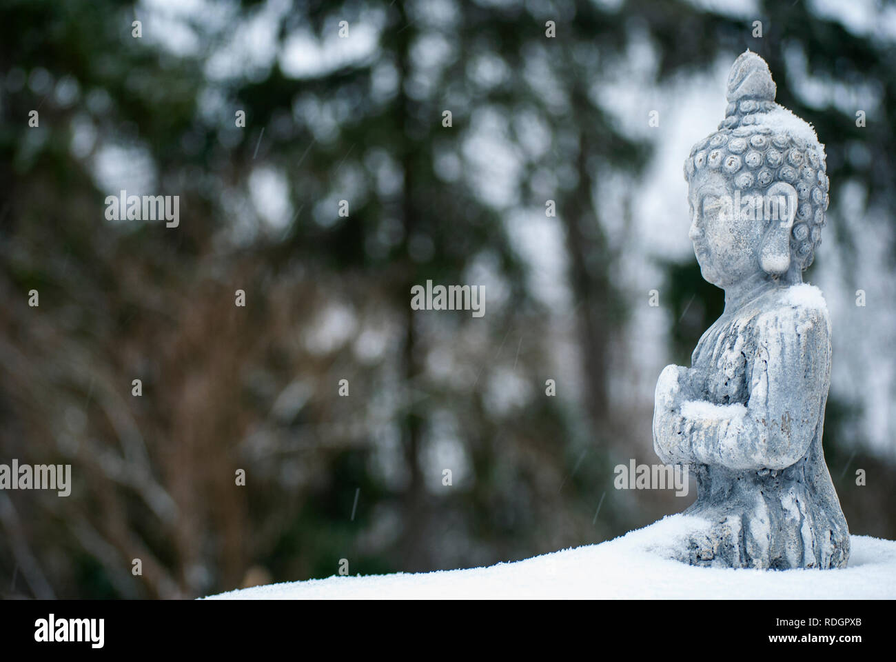 Tree winter snow statue hi-res stock photography and images - Alamy
