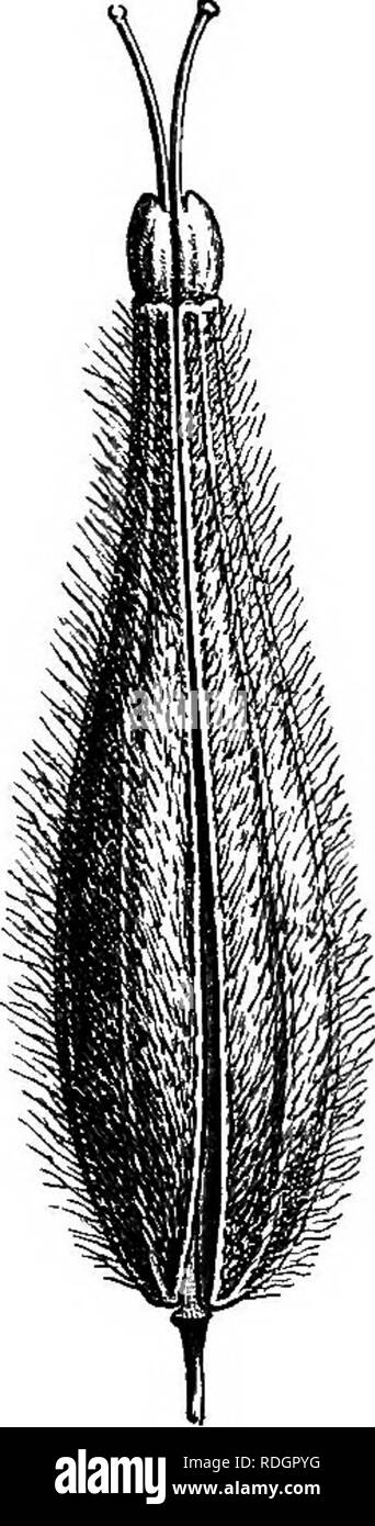 Marginal ridges Black and White Stock Photos & Images - Alamy