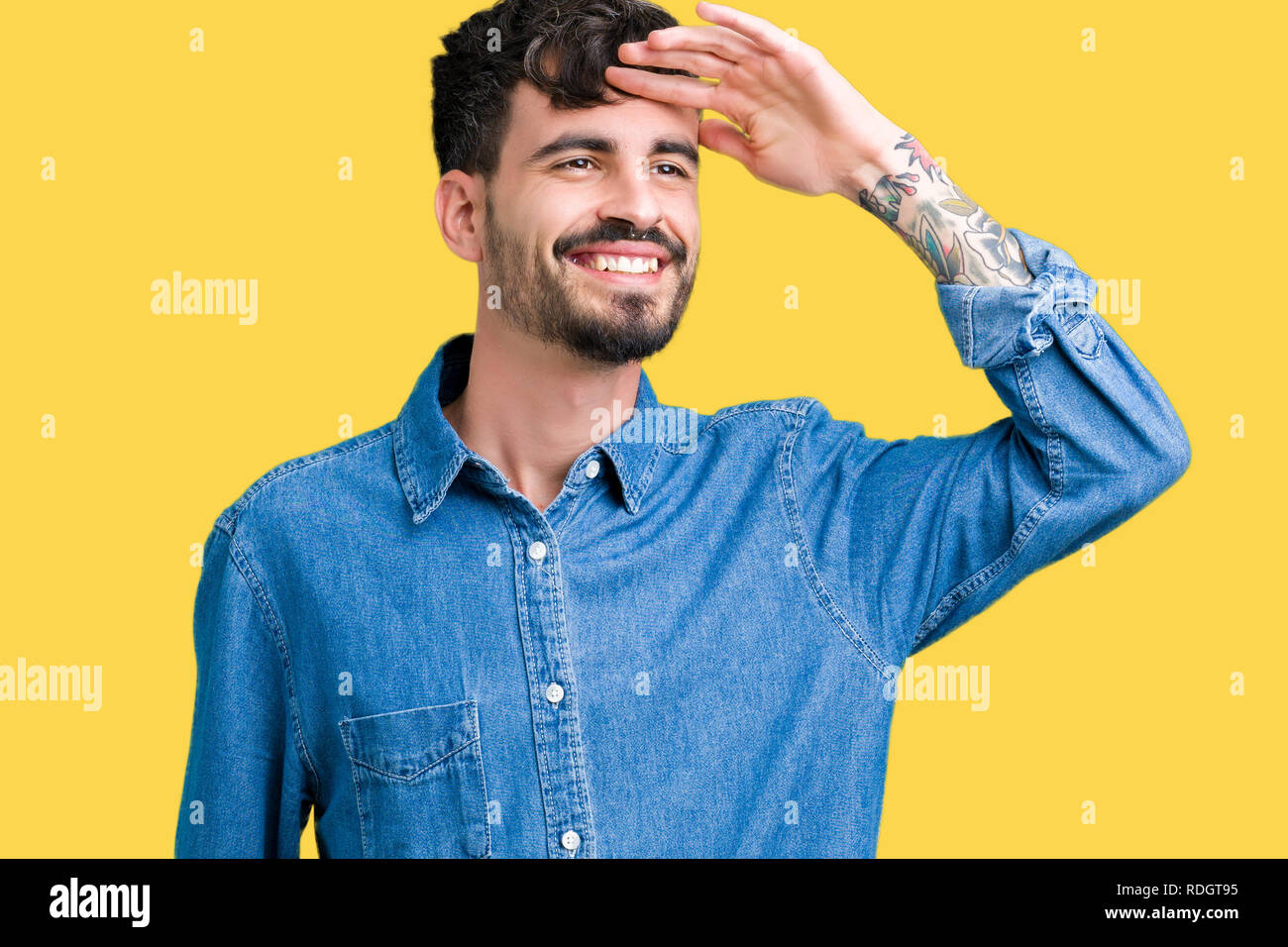 Young handsome man over isolated background very happy and smiling ...