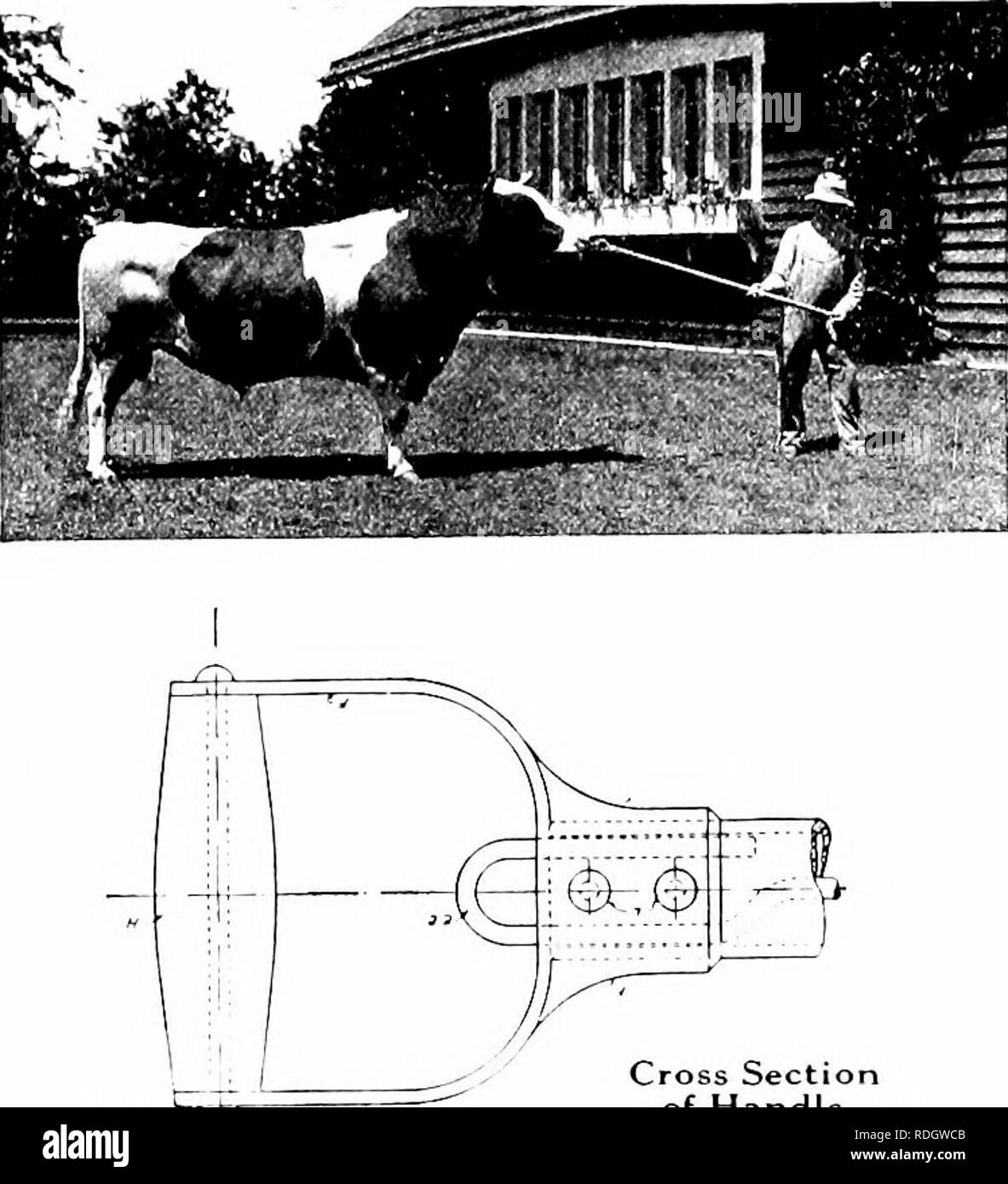 Death under patent hi-res stock photography and images - Alamy