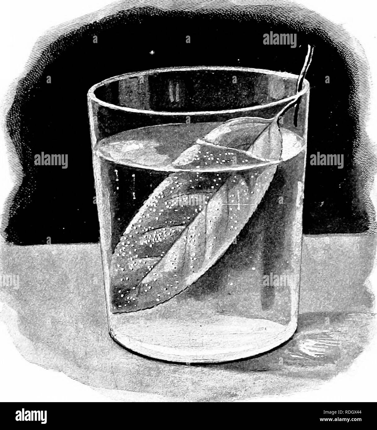 Osygen Black and White Stock Photos & Images - Alamy