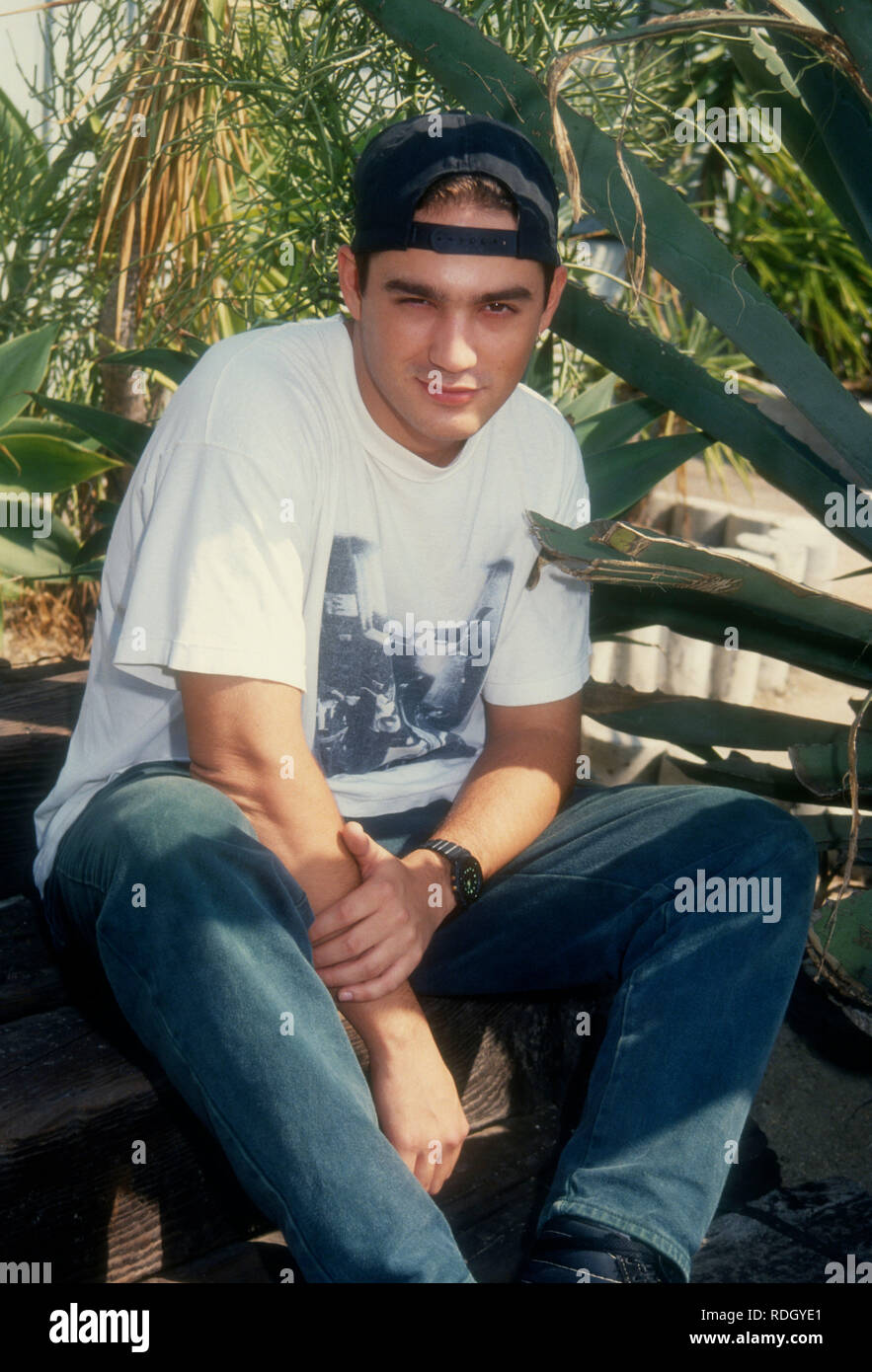 Charitycalifornia dreams hi-res stock photography and images - Alamy