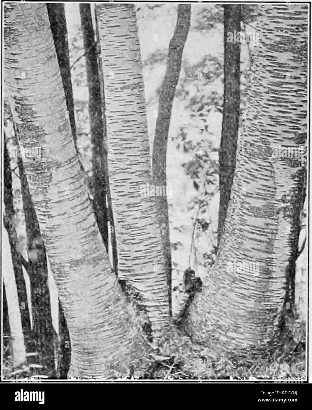 . A textbook of botany for colleges and universities ... Botany. 662 ...