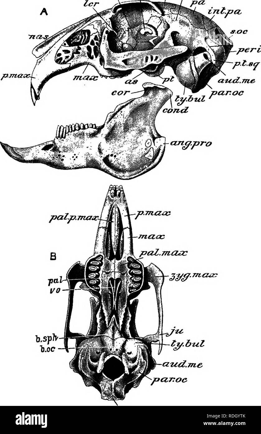 Lower angular view Black and White Stock Photos & Images - Alamy