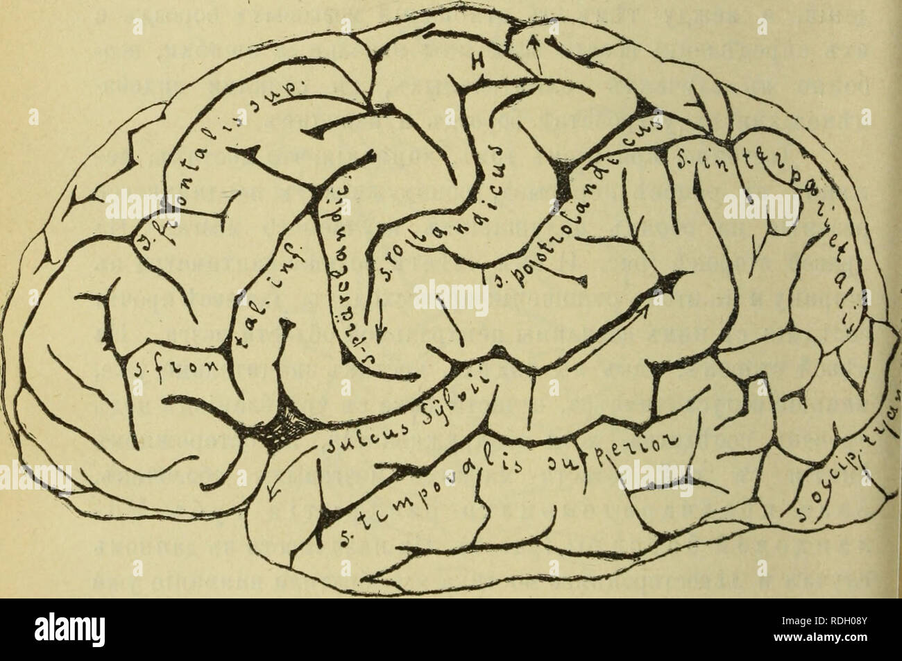 Hanpa hi-res stock photography and images - Alamy