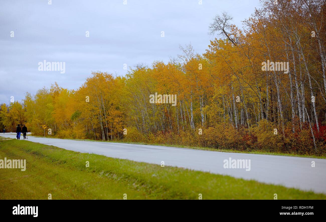 Country Walk in Fall Stock Photo - Alamy