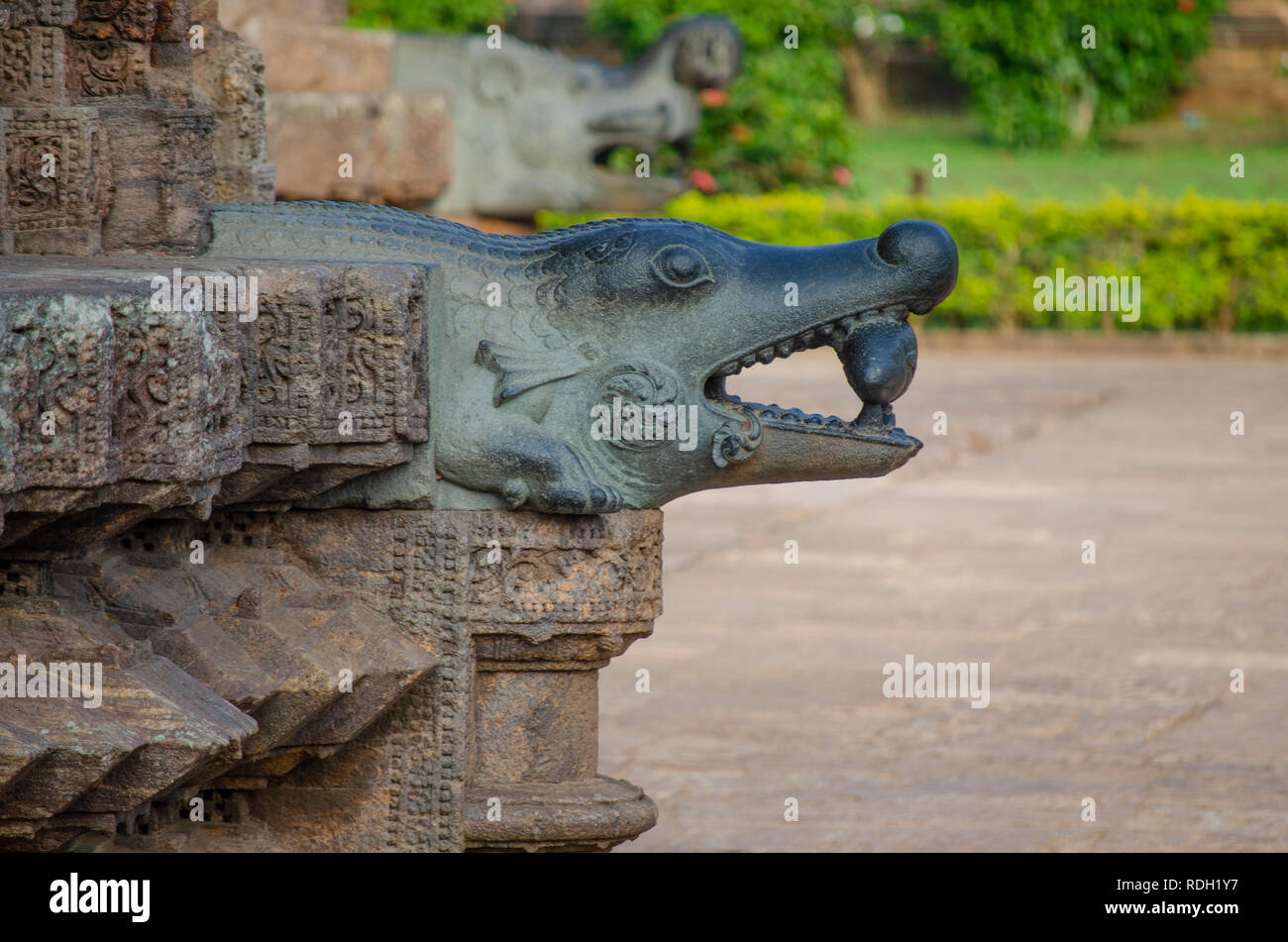 Sculpture of a Makara (crocodile), gargoyle, on Mayadevi Temple at Sun ...