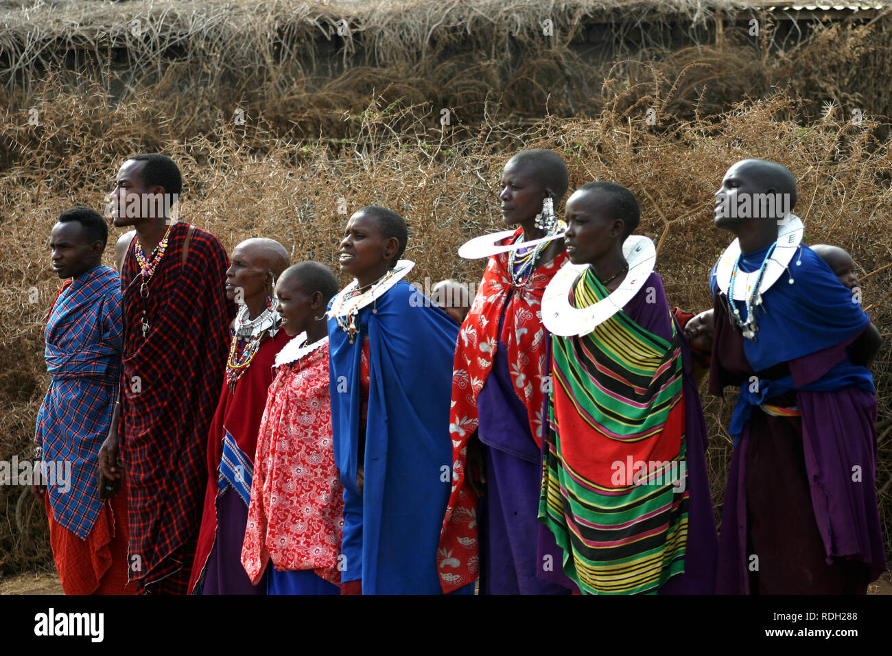 Masai mara nationa hi-res stock photography and images - Alamy